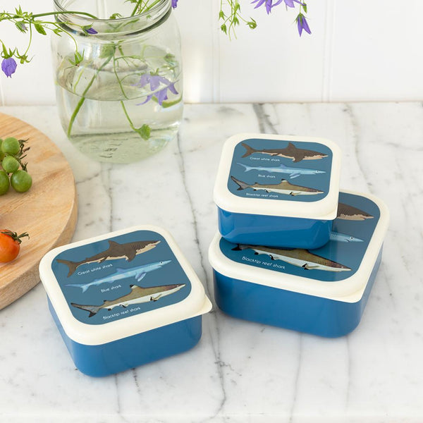 Sharks Snack Boxes (Set Of 3) | NSPCC Shop